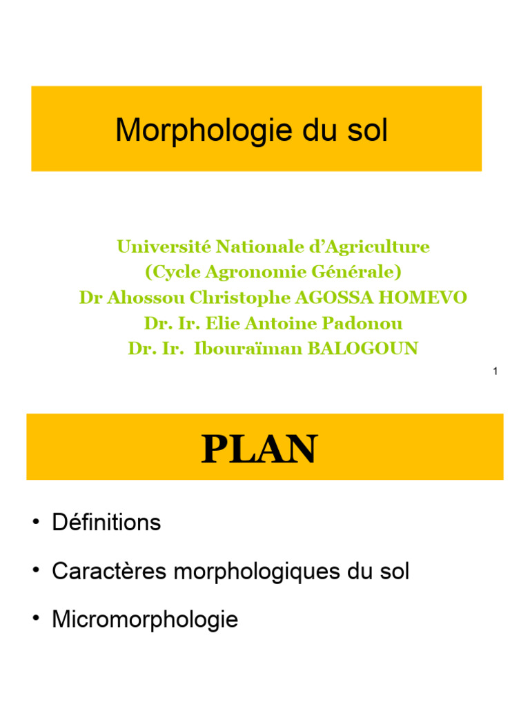 Morphologie et Porosité du Sol | PDF | Sol (pédologie) | Limon