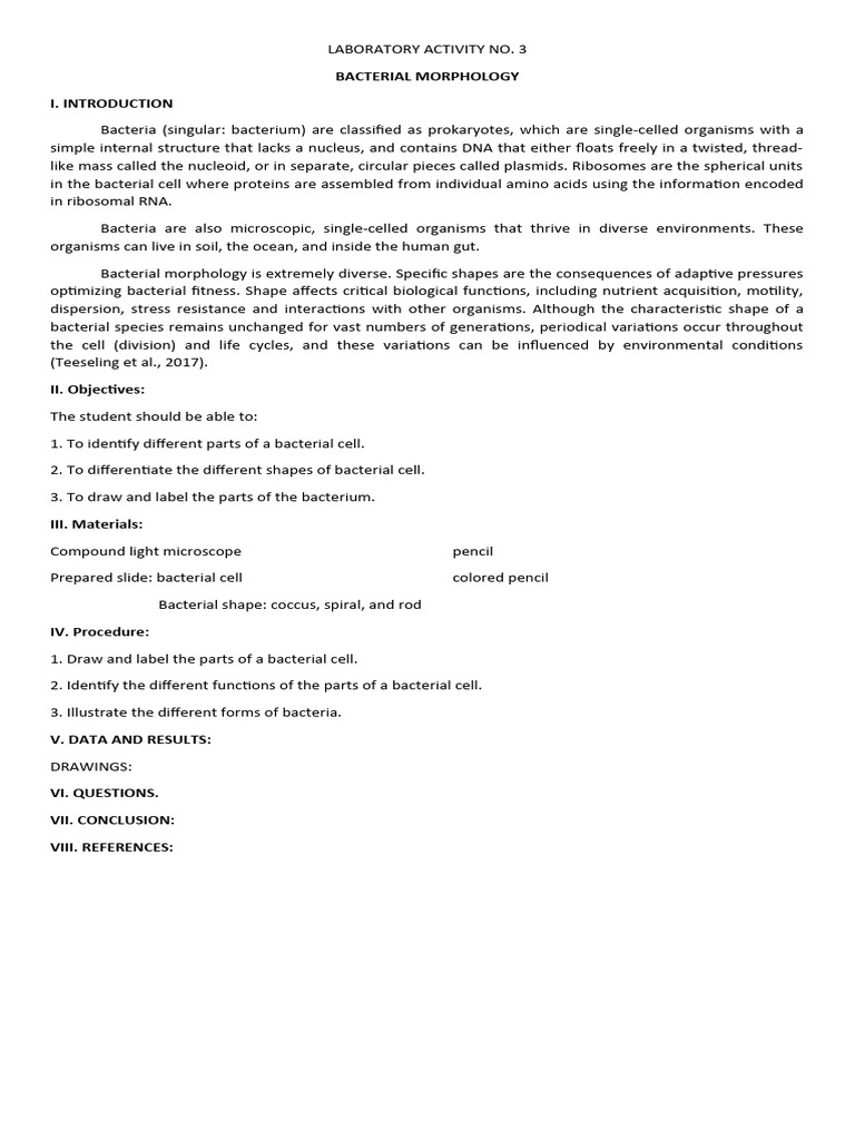 Microbiology and Parasitology Laboratory Activity No.3 1 | PDF | Bacteria | Cell (Biology)