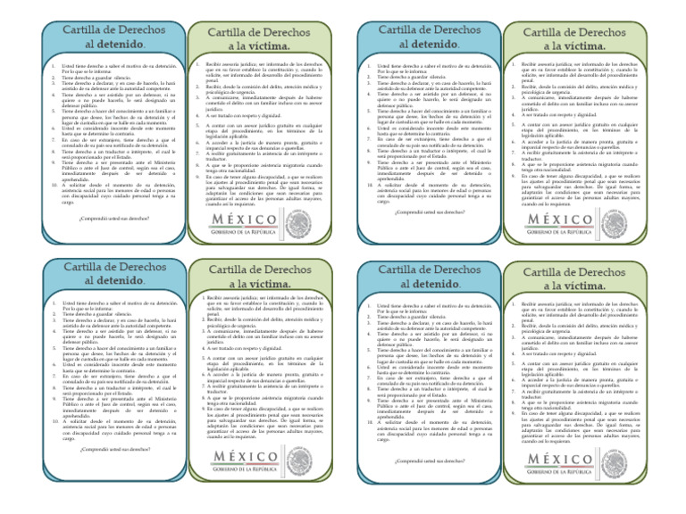 Cartilla de Derechos Del Detenido ACTUALIZADO | PDF | Menor (ley ...