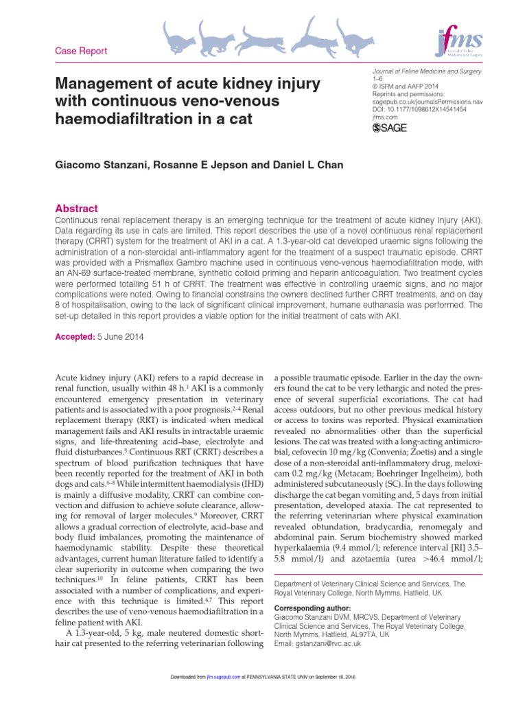 CRRT for Acute Kidney Injury in Cats | PDF | Intravenous Therapy | Kidney