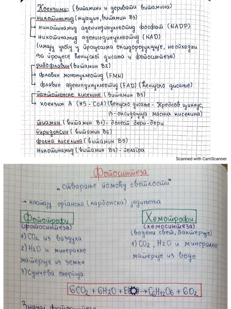 Biohemija | PDF