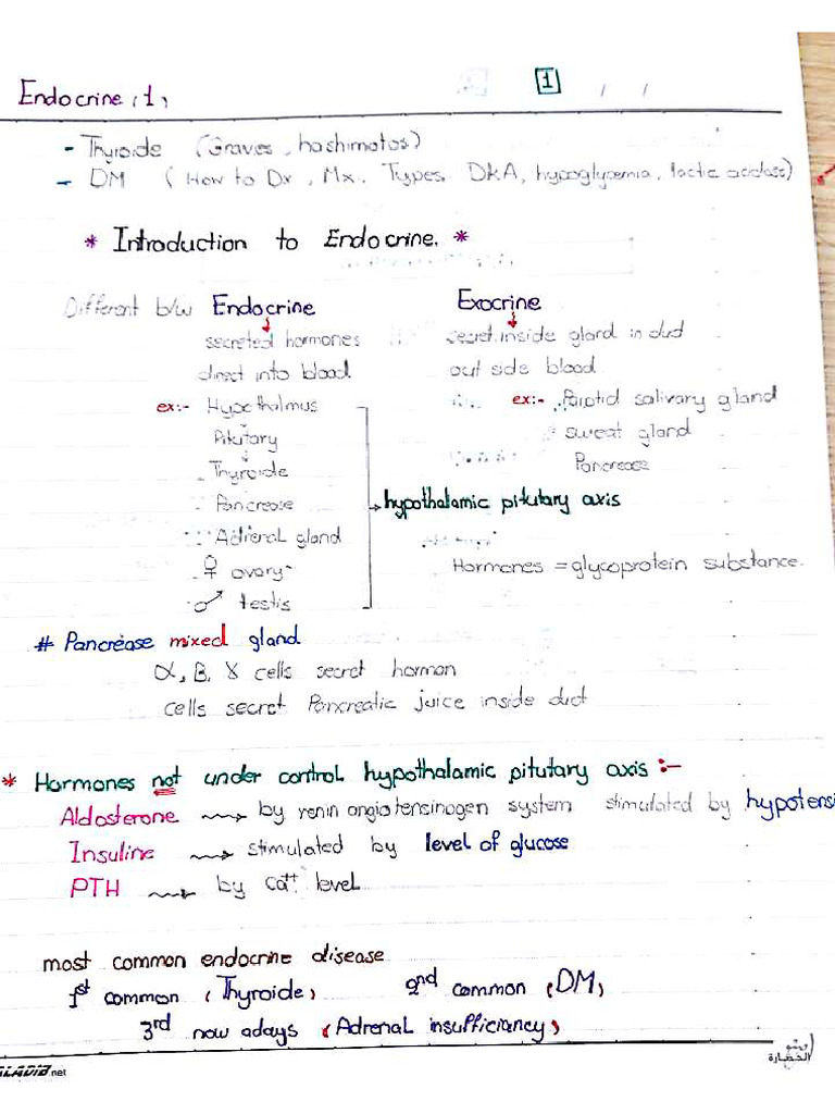 Endocrine Lectures DR Saif by DR Mawia Elsaadi | PDF