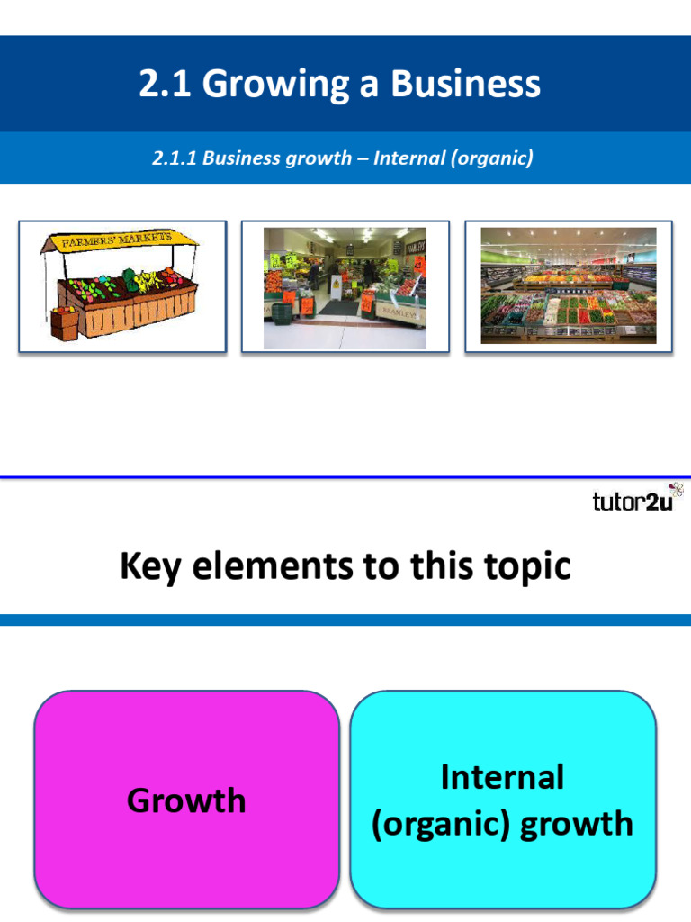 2.1.1a Business Growth (1) - Intro and Internal Growth NOTES | PDF ...