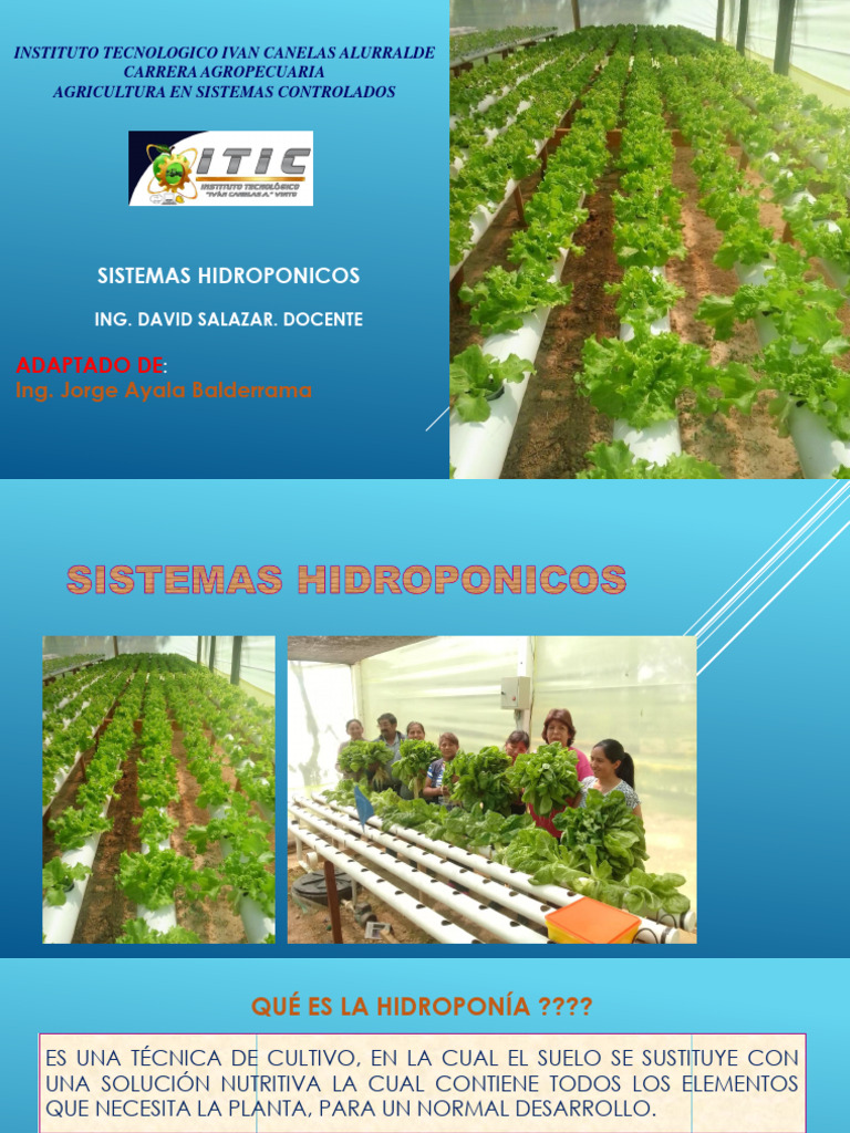 Hidroponia Sistemas | PDF | Hidroponia | Botánica