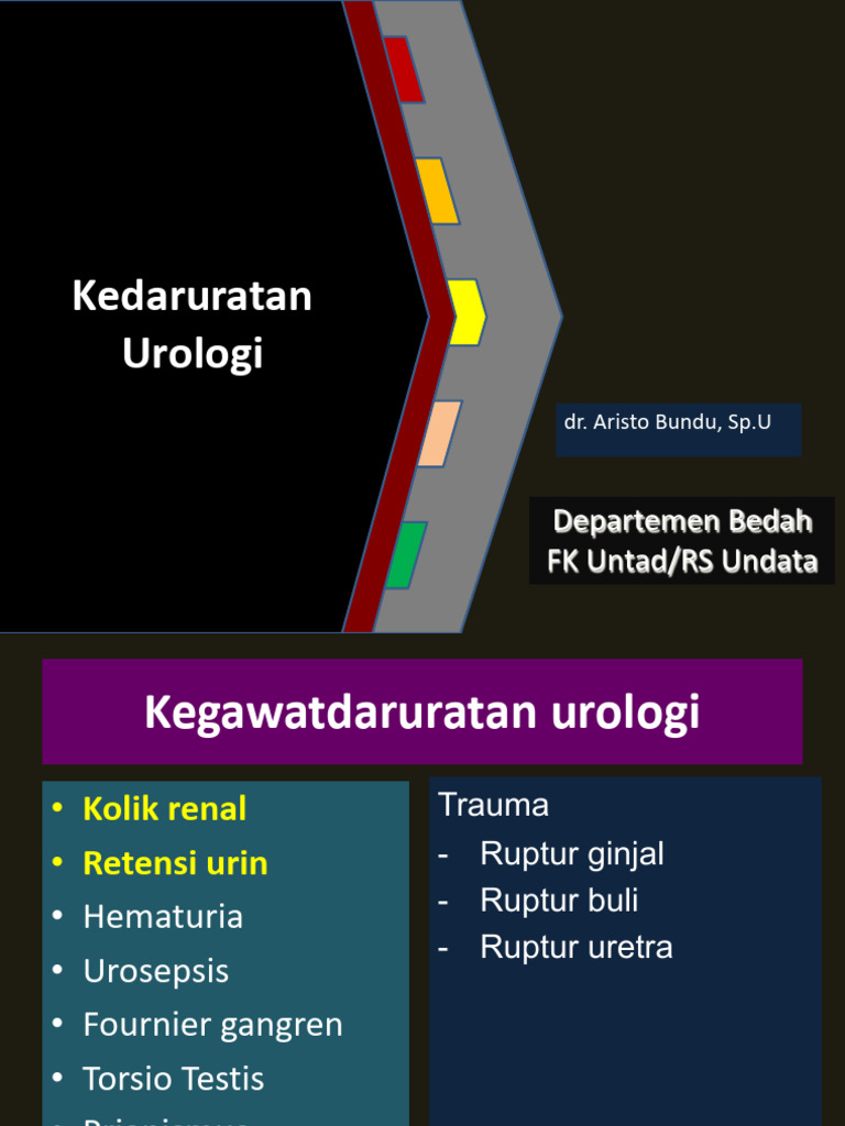 Panduan Kedaruratan Urologi | PDF