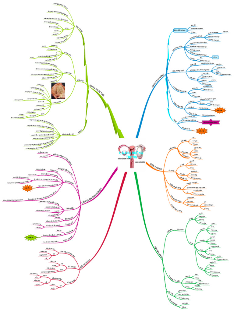 (YhocData - Com) U NANG BU NG TR NG | PDF
