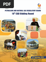 PNGRB CGD Entity Progress - As On 31.01.2025 | PDF | Natural Gas ...