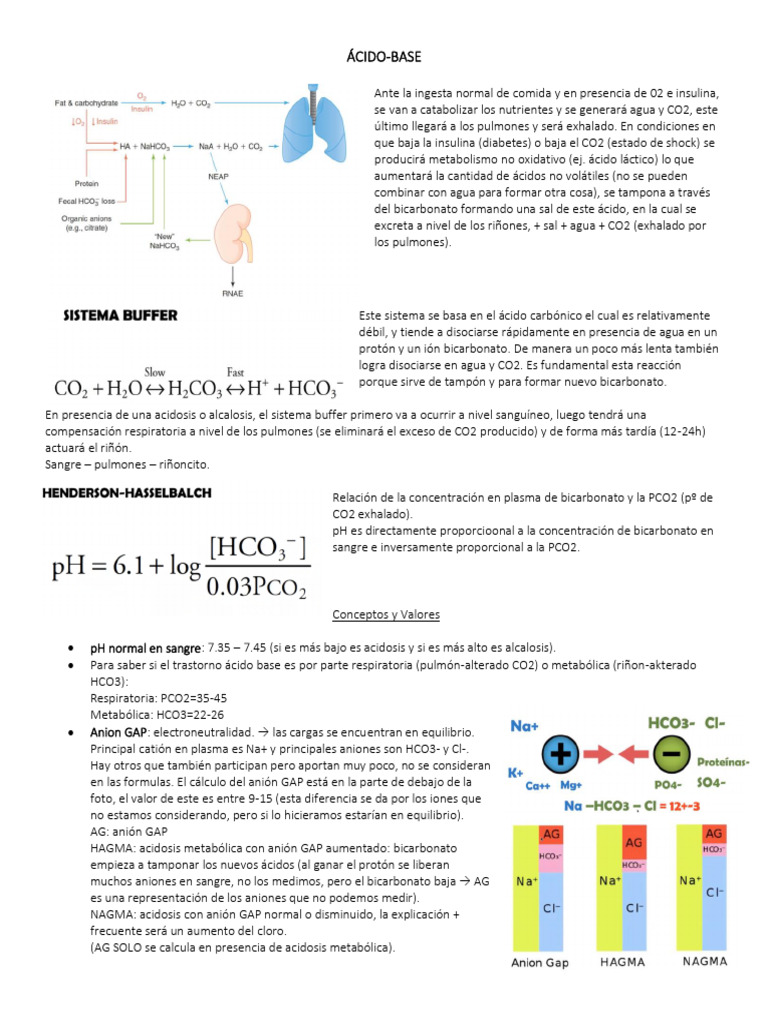 Trastornos Ácido-Base: Diagnóstico y Compensación | PDF | Solución ...