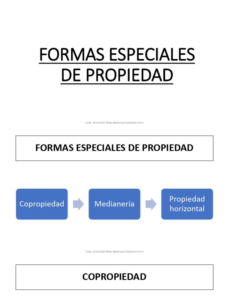 Formas Especiales de Propiedad | PDF | Propiedad | Condominio
