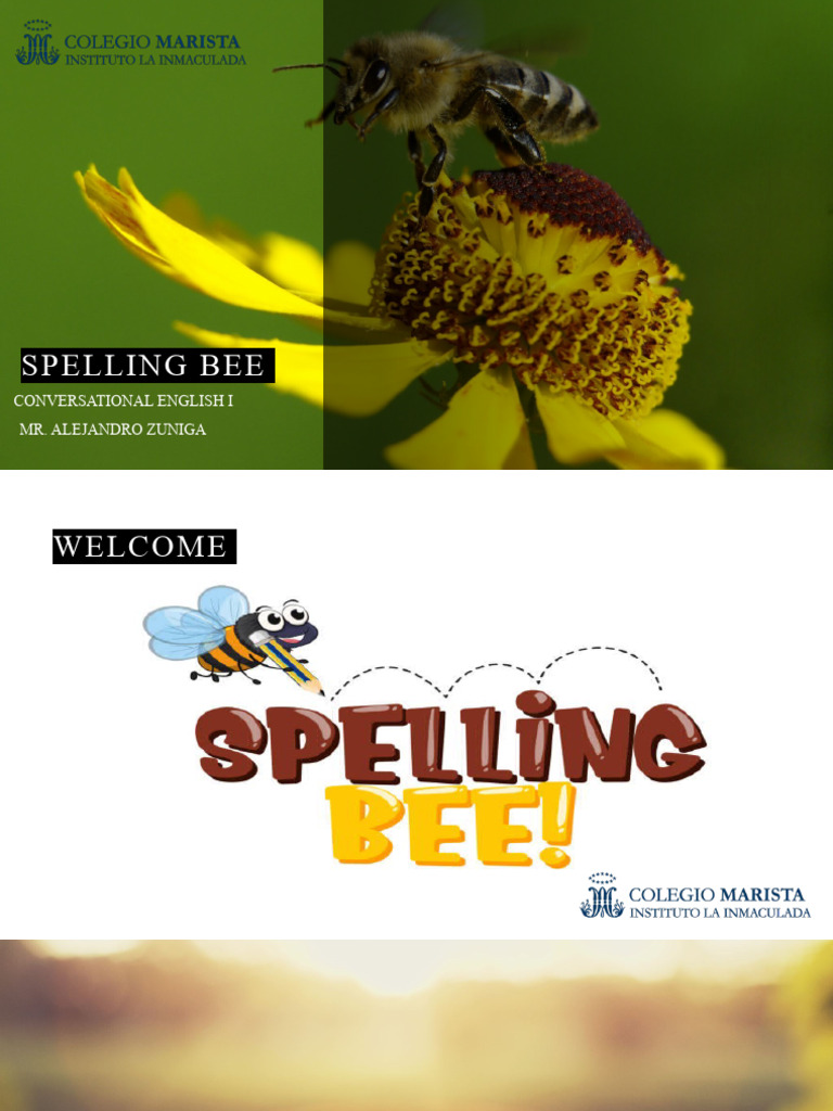 Spelling Bee Competition Guidelines | PDF | Linguistics