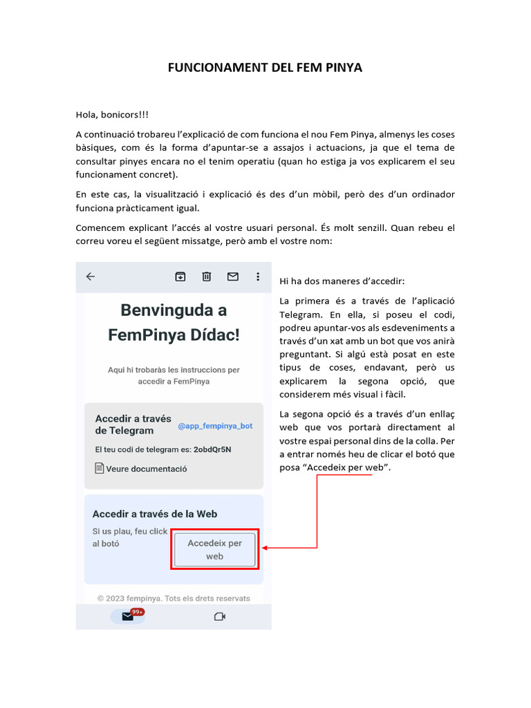 Funcionament Del FemPinya | PDF