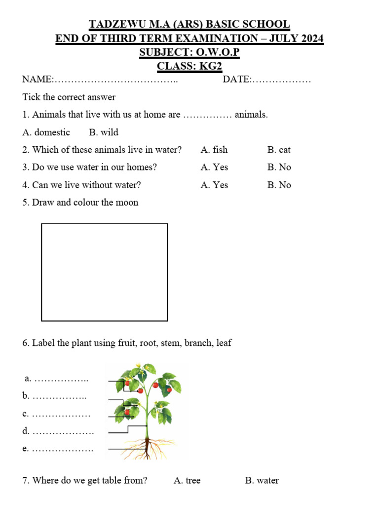 TADZEWU M Owop kg2 | PDF