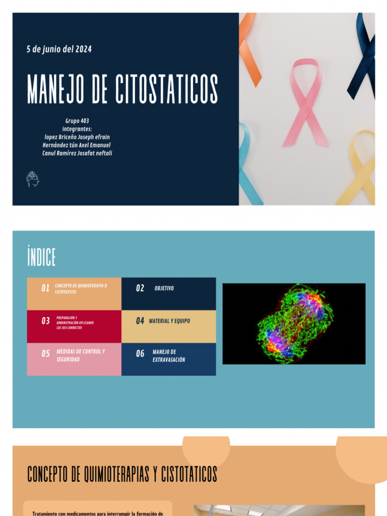 Quim Iot Era Pia | PDF