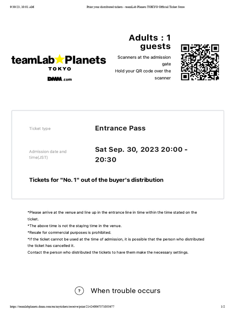 Teamlab Ticket1 | PDF