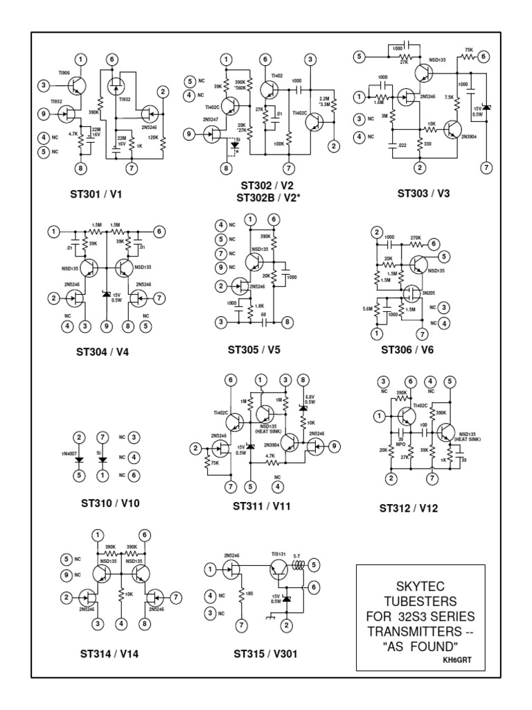 TSUB | PDF | Visual Cortex | Cerebral Cortex