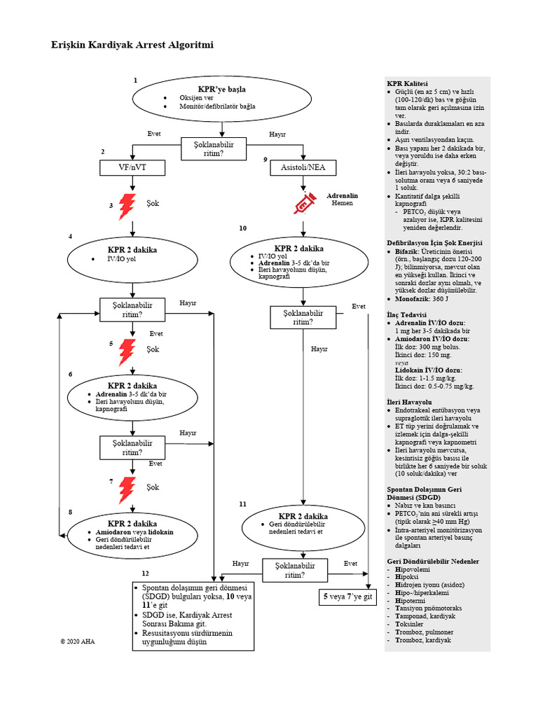 IKYD Akis Semalari 2020 | PDF