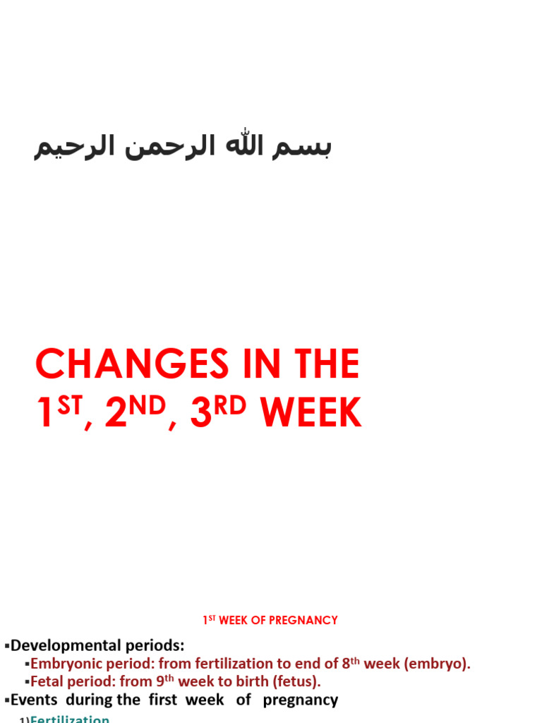 Pregnancy Development: Weeks 1-2 Overview | PDF | Uterus | Fertilisation