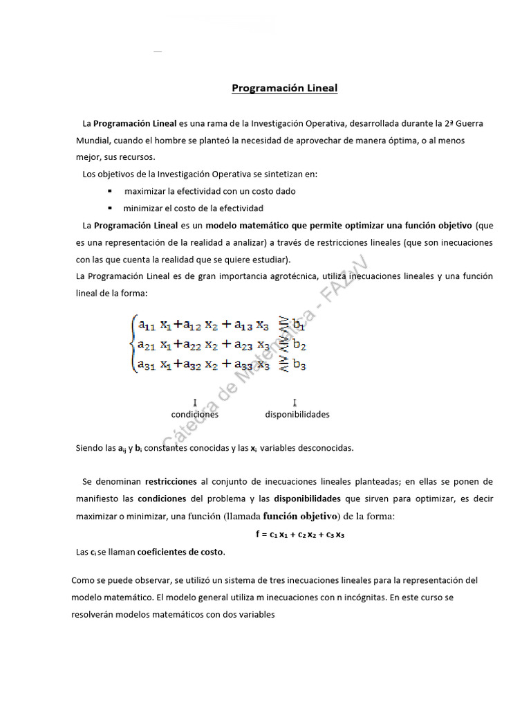 Teoría - Programación Lineal | PDF | Programación lineal | Función (Matemáticas)
