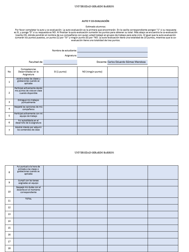 Auto+%26+Co Evaluaci%C3%B3n | PDF
