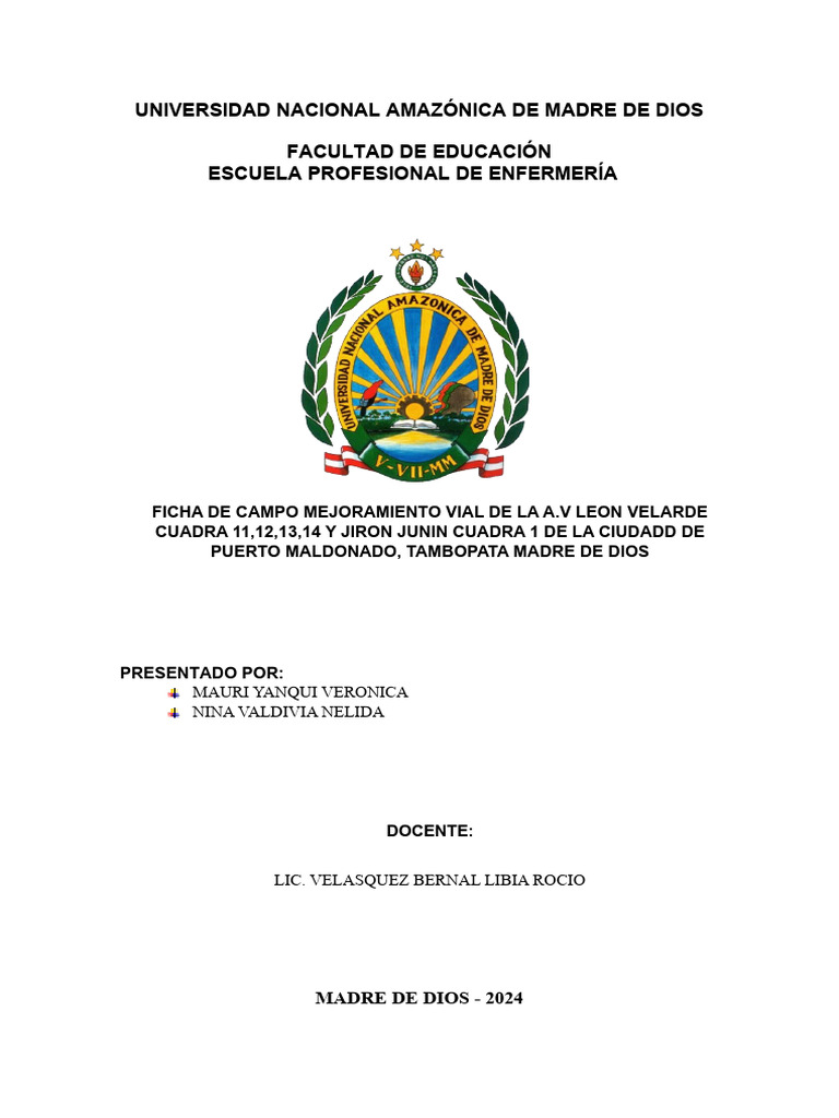 Ficha de Campo de Obra Vial Av. Leon Velarde | PDF