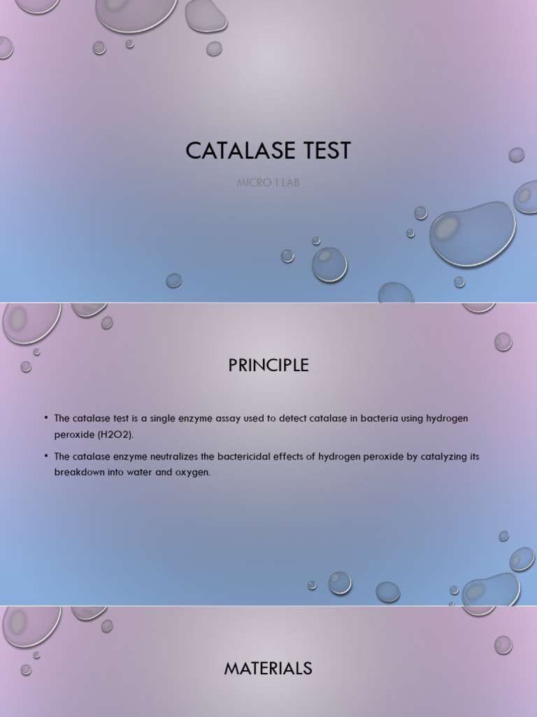 Catalase Test | PDF | Science & Mathematics