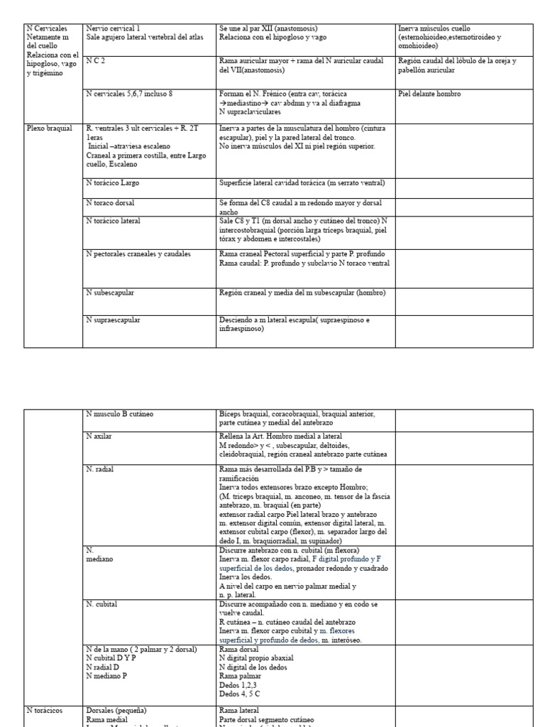 SNP Anato Ii | PDF | Nalgas | Anatomía