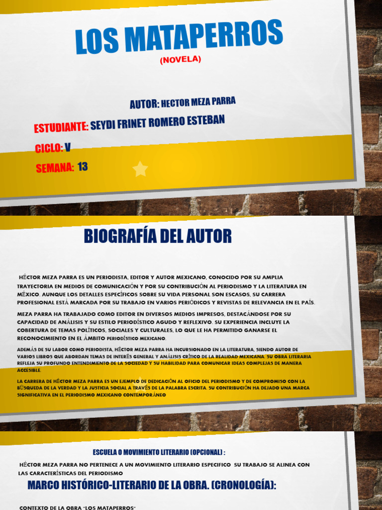 LOS MATAPERROS - Seydi Romero | PDF | Periodismo | México