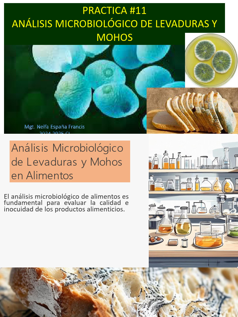 Analisis Microbiologico de Levaduras y Mohos en Alimentos | PDF | Levadura | Alimentos