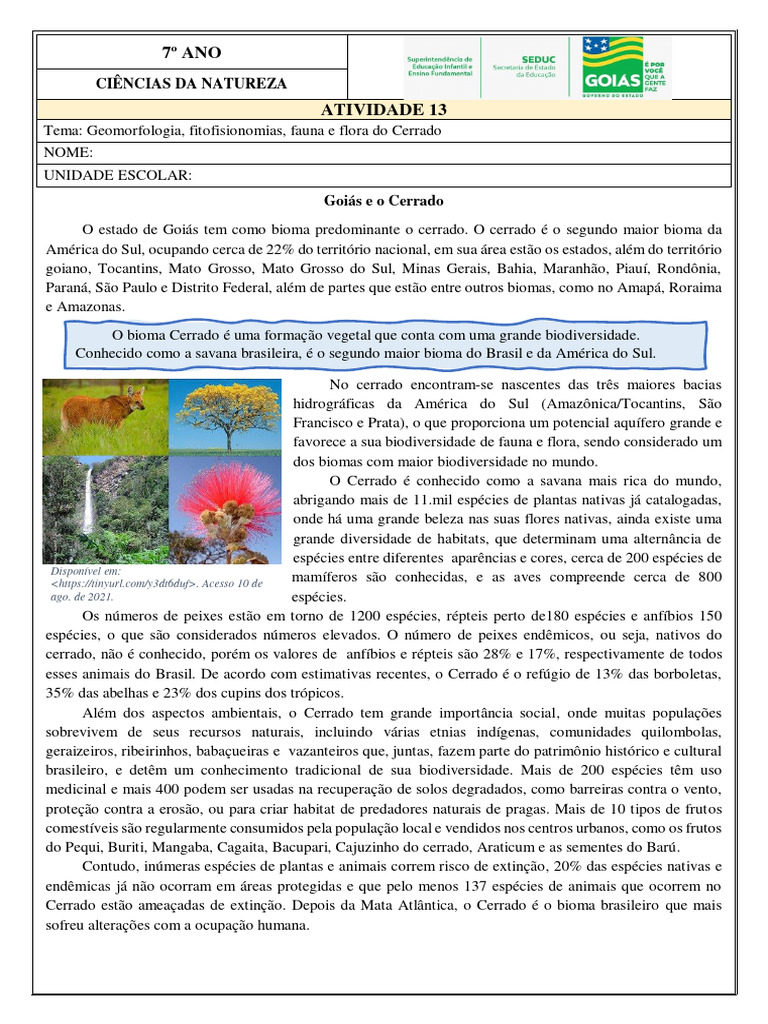Atividade 13 7o Ano CIE Caracteristicas Cerrado 1 | PDF | Florestas | Pasto