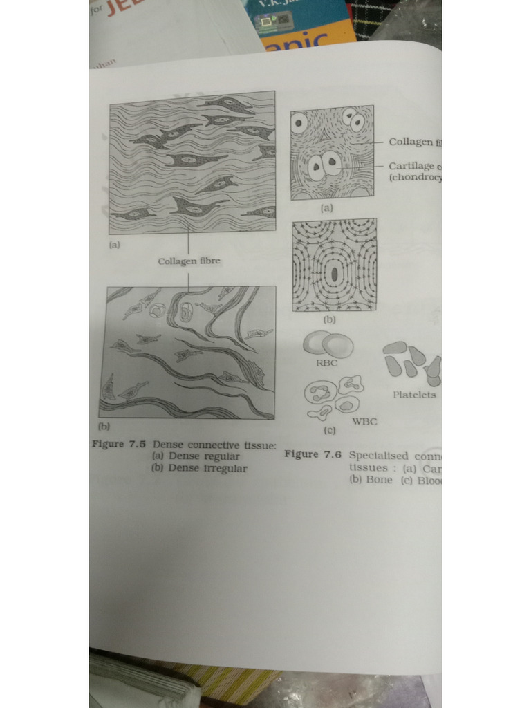 Gen 003 28072024 | PDF