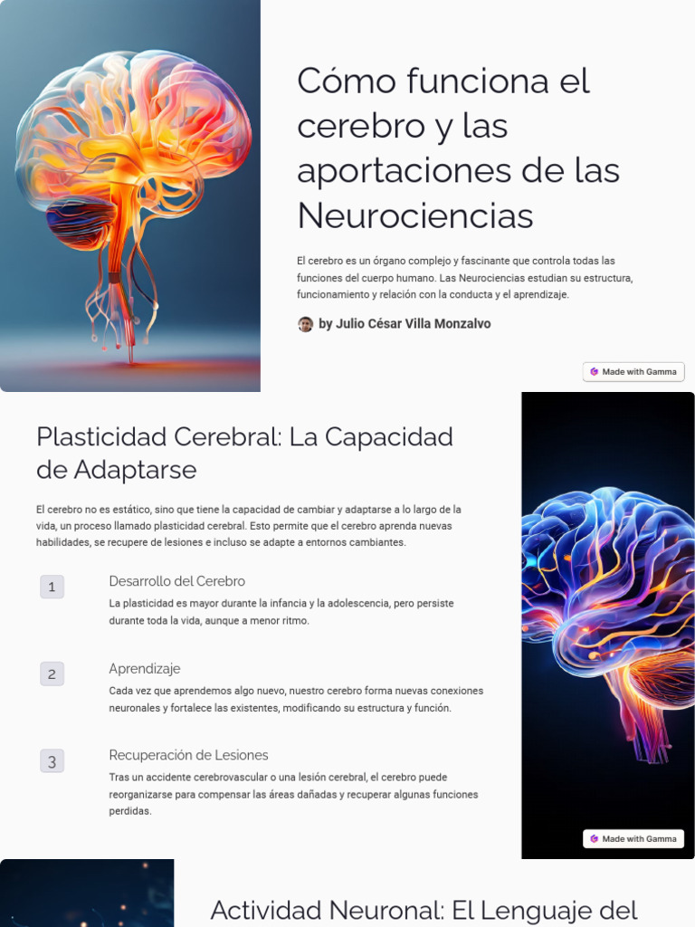 Como Funciona El Cerebro y Las Aportaciones de Las Neurociencias | PDF | Cerebro | Las emociones