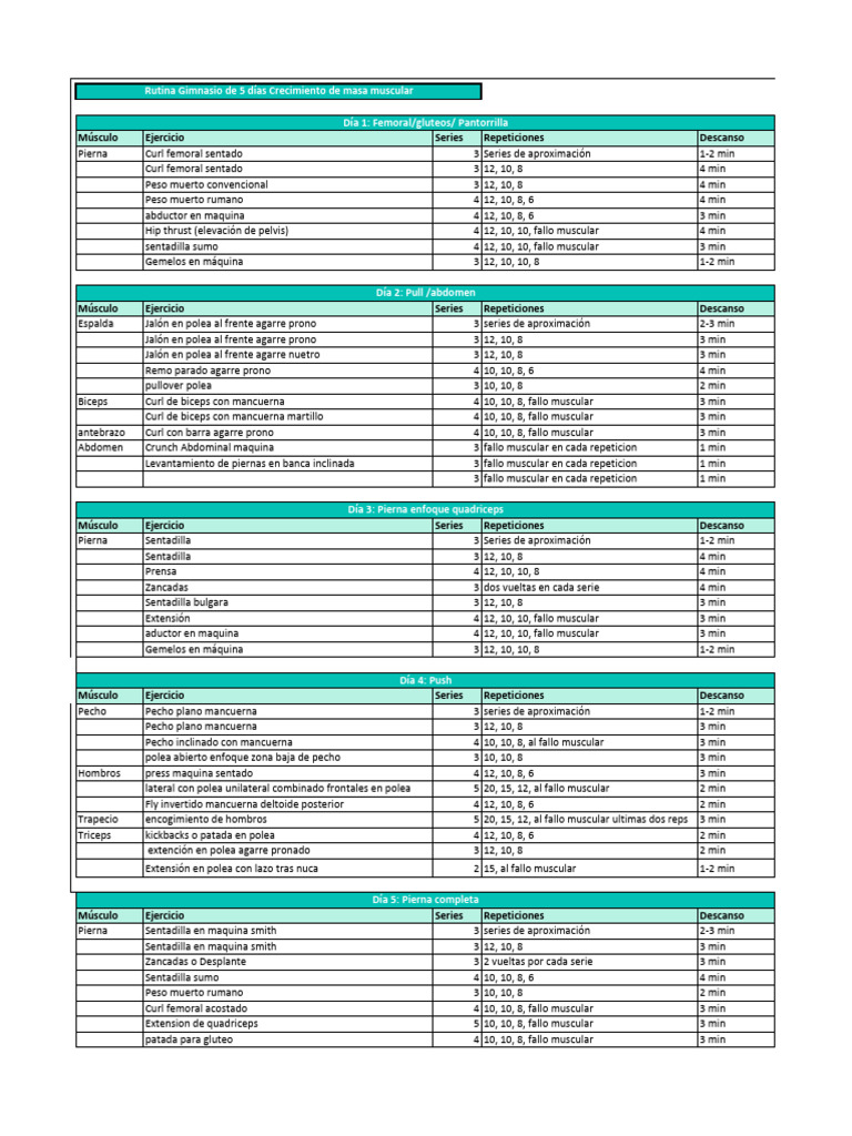 Rutina Daniela | PDF | Ejercicio físico | Aptitud física