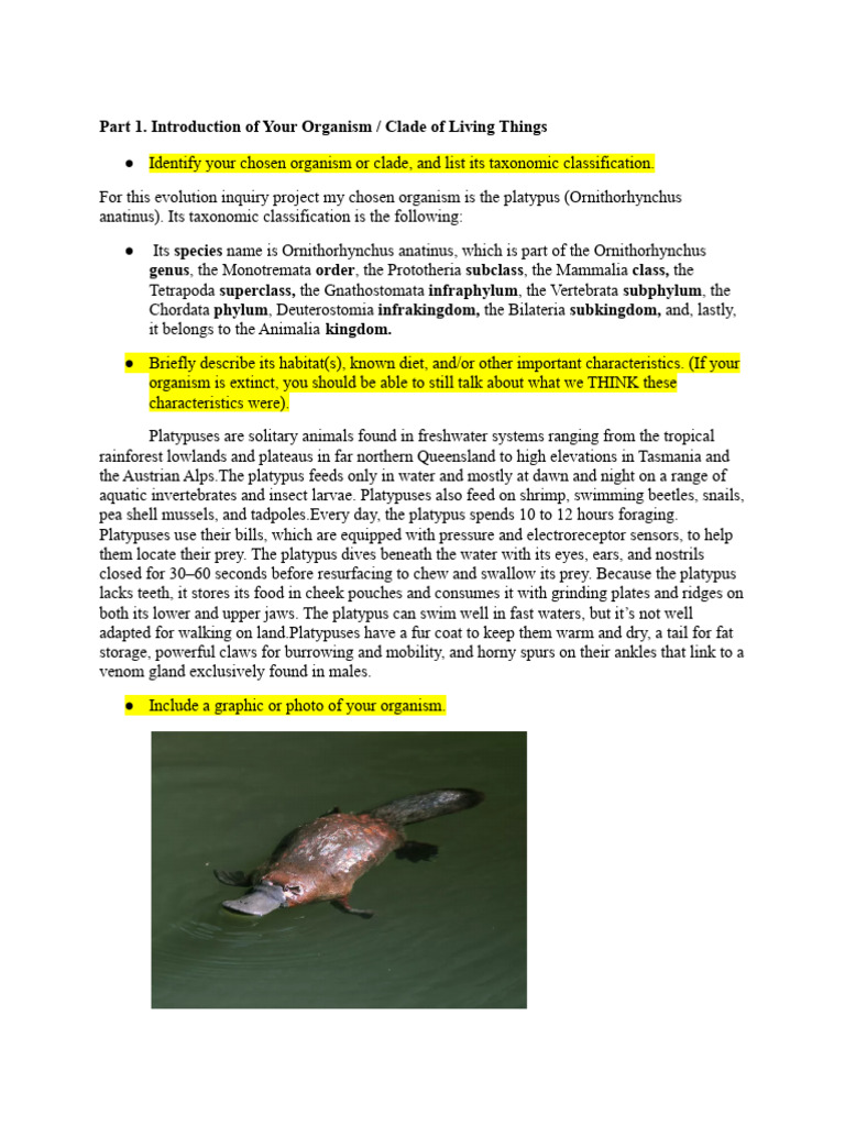 Evolution Inquiry Project Draft | PDF | Zoology