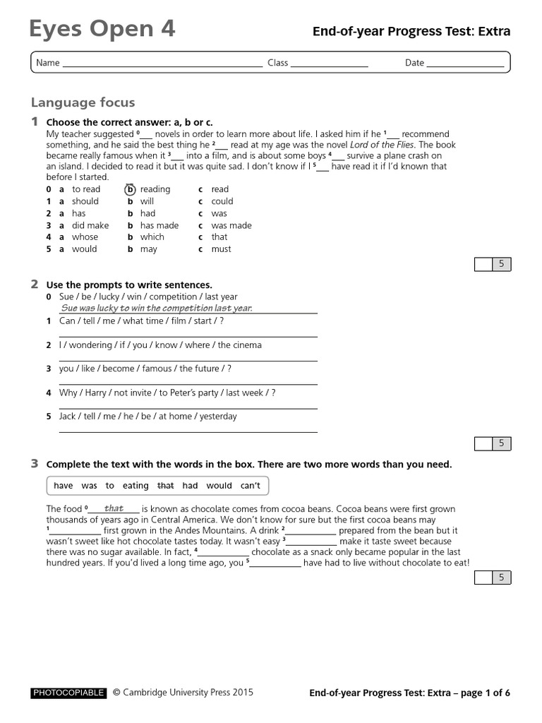 End-of-Year Progress Test Guide | PDF | Chocolate