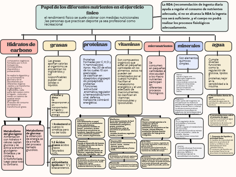 Gráfico Mapa Conceptual Líneas Esquema Bloques Flechas Ilustrado ...