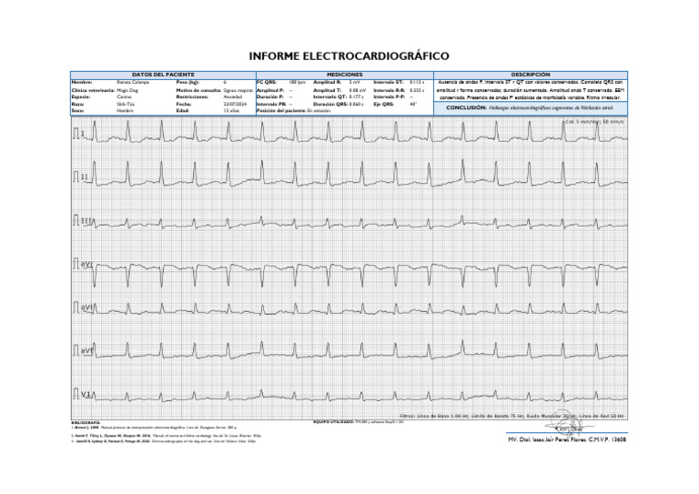 Informe Electrocardiográfico Canino | PDF | Electrocardiografia ...