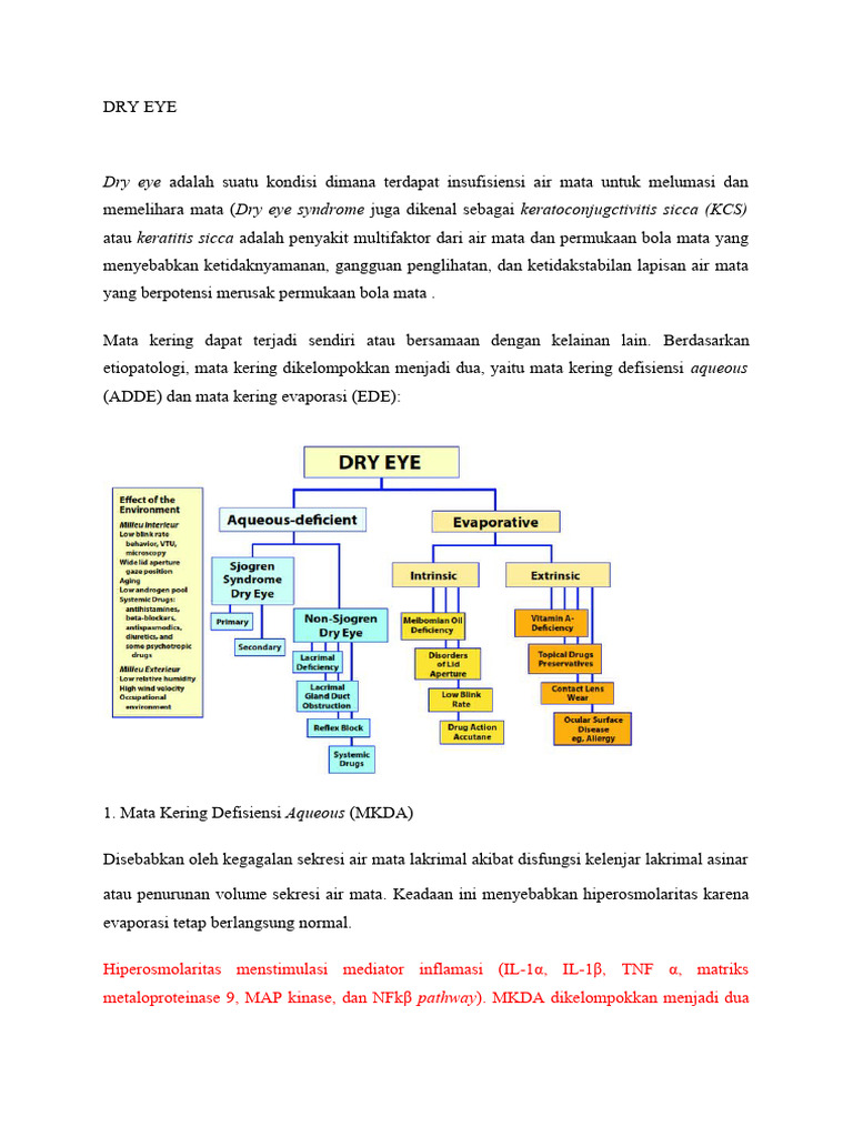 Dry Eye | PDF