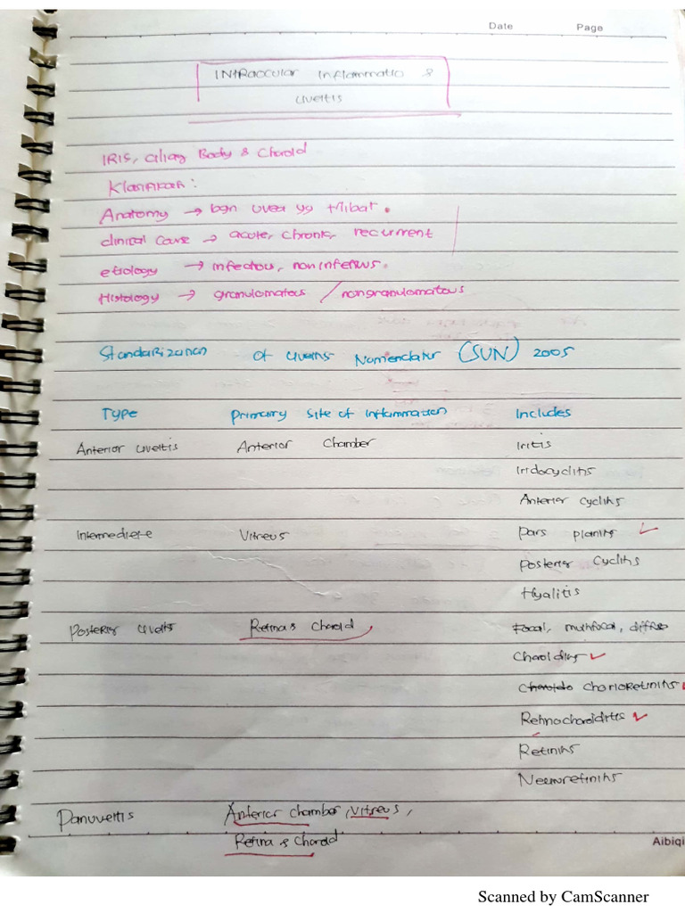 Uveitis Aao IDP | PDF
