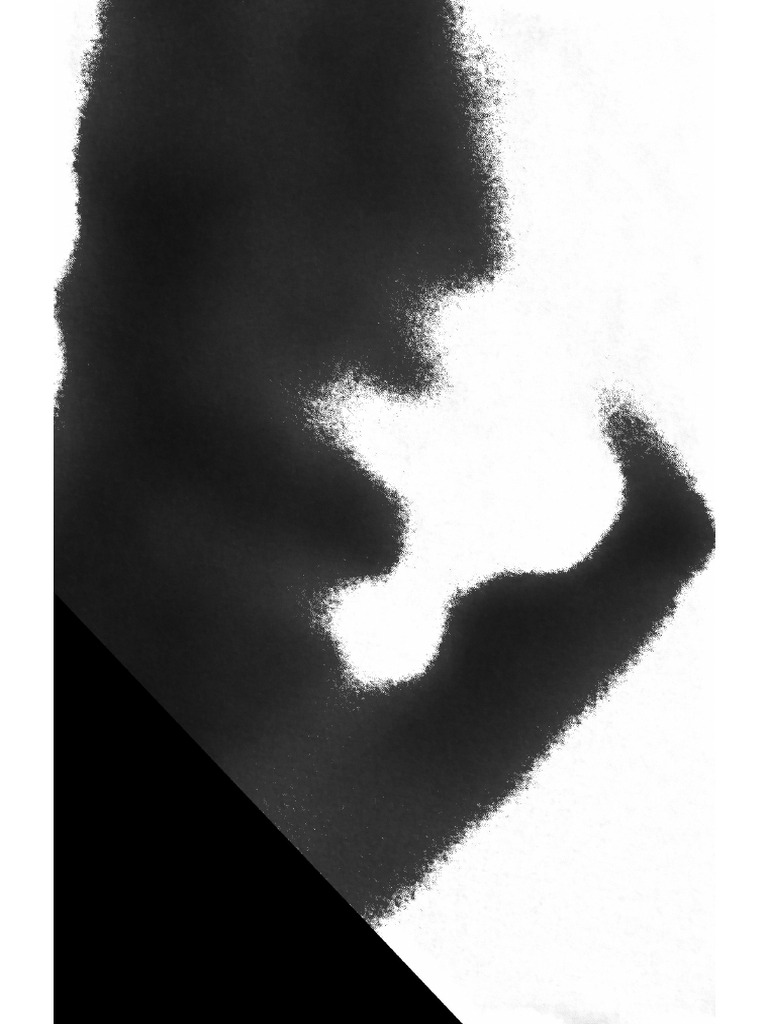 Digitalizado 20240525-1615 | PDF