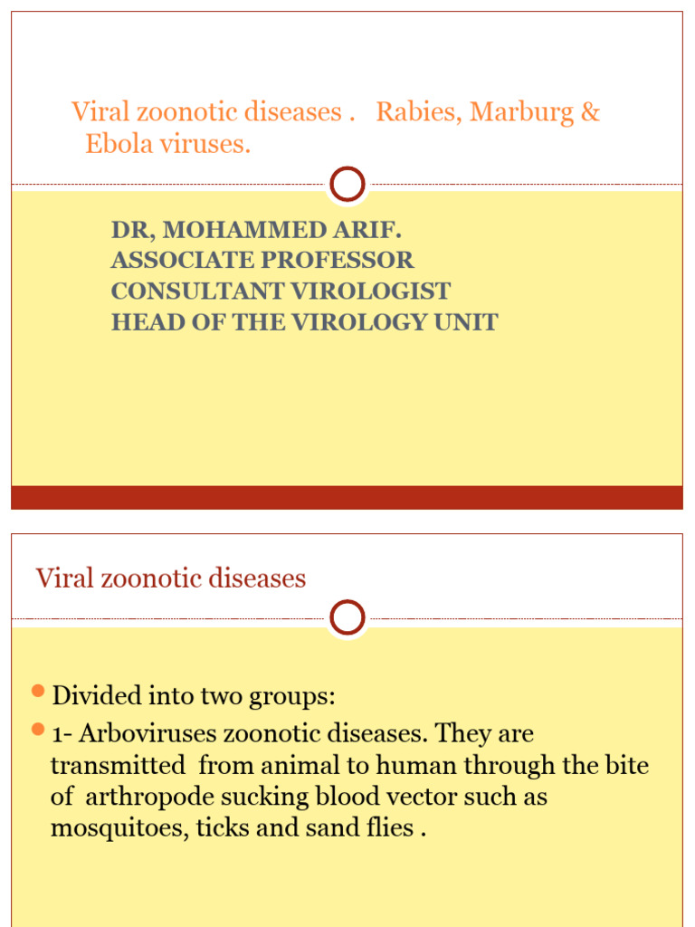 13 - Viral Zoonotic Diseases | PDF | Rabies | Virus