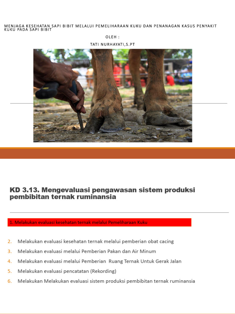 Materi Pemotongan Kuku | PDF