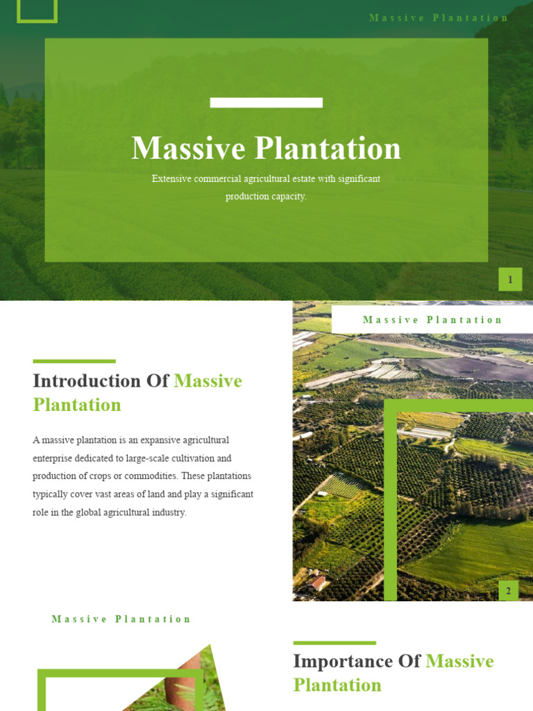 400415-Presentation On Massive Plantation | PDF | Plantation ...
