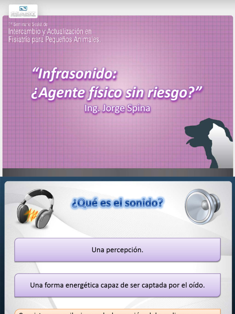 Infrasonido Agente Sin Riesgo Jorge Spina | PDF | Hertz | Audiología