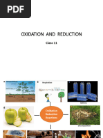 Oxidation Number Chart of All Elements | PDF | Redox | Chlorine