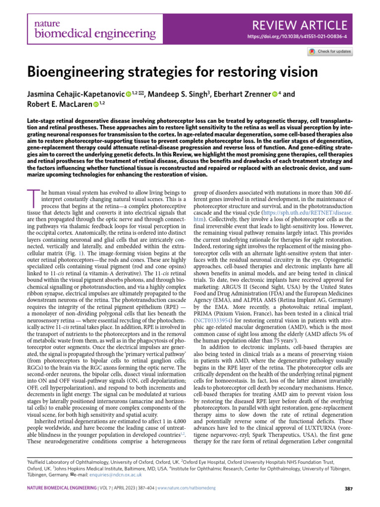 Bioengineering Strategie | PDF | Retina | Viral Vector