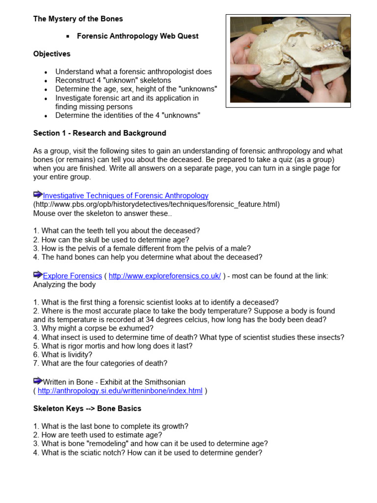 Forensic Anthropology Webquest | PDF | Forensic Science