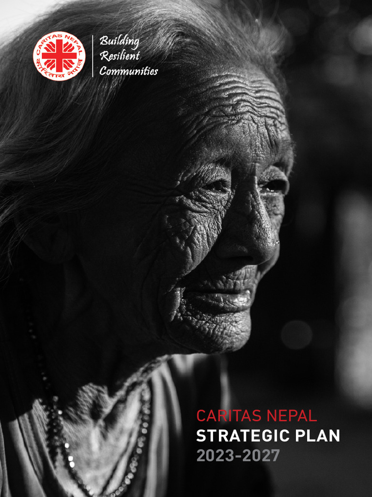 Strategic Plan 2023-2027 V3 | PDF | Disaster Risk Reduction | Agriculture