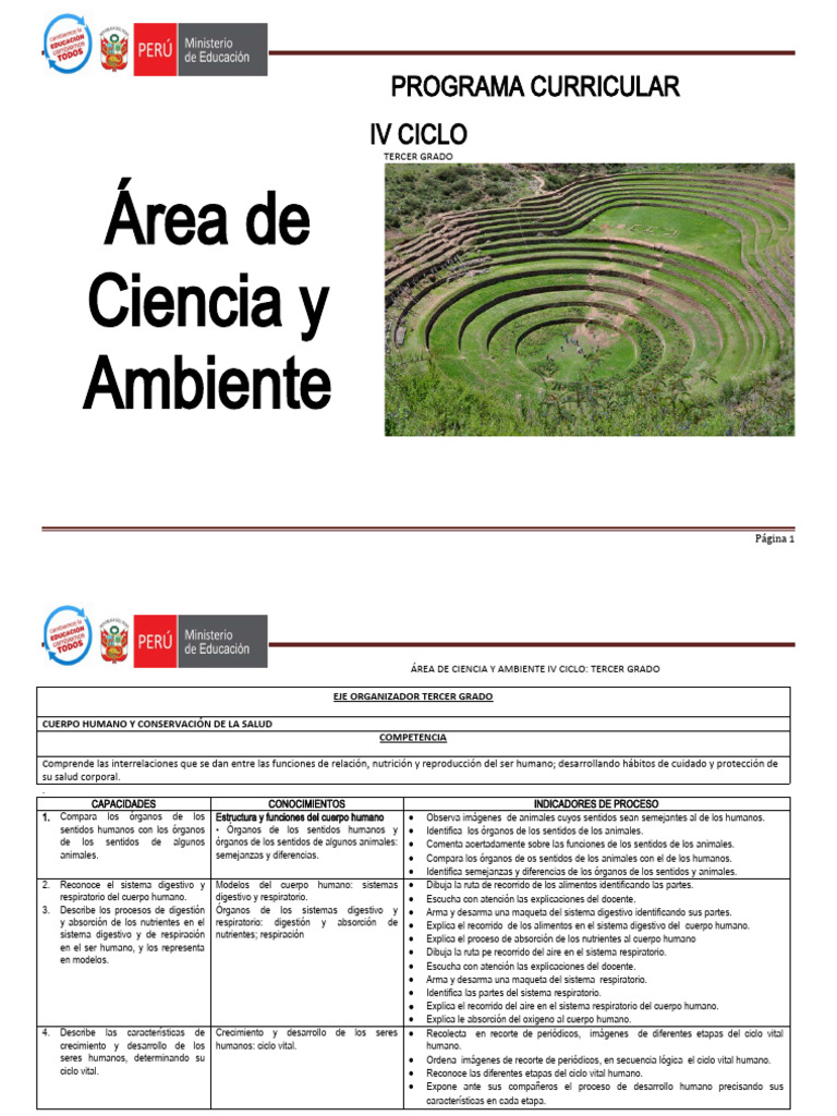 Currículo de Ciencia y Ambiente 3° Grado | PDF | Agua | Residuos