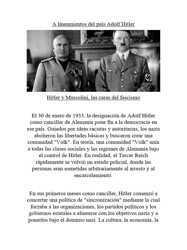 Ascenso de Hitler y el Tercer Reich | PDF | Alemania nazi | Adolf Hitler