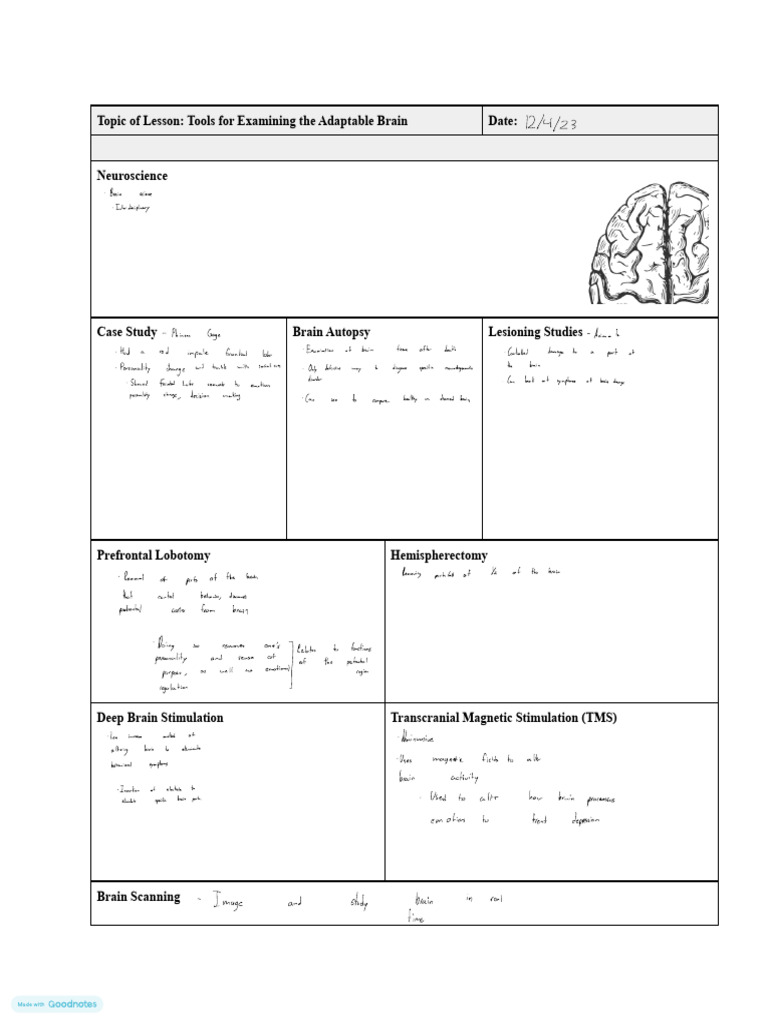 Guided Notes - Tools For Examining The Adaptable Brain | PDF | Brain ...
